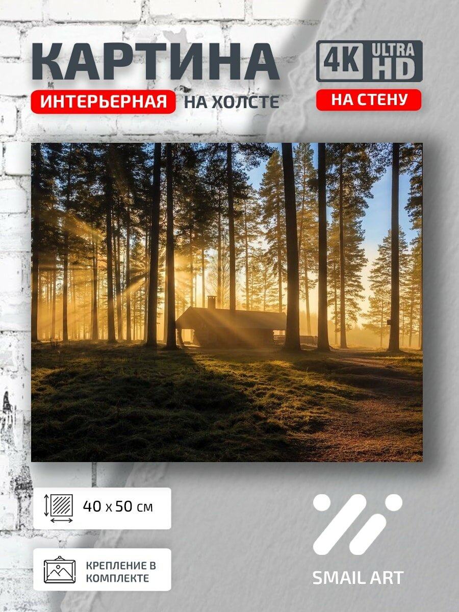 Картина на холсте интерьерная 40 на 50 на стену Природа Лес для офиса пейзаж