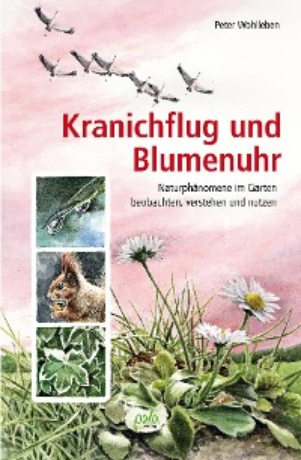 Kranichflug und Blumenuhr [Цифровая книга]