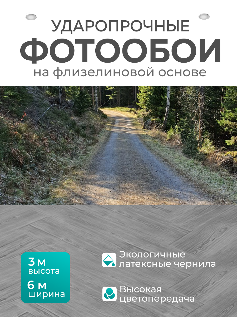 Фотообои моющиеся ударопрочные "Лес, дорога, солнце" 600x300 см. флизелиновые на стену