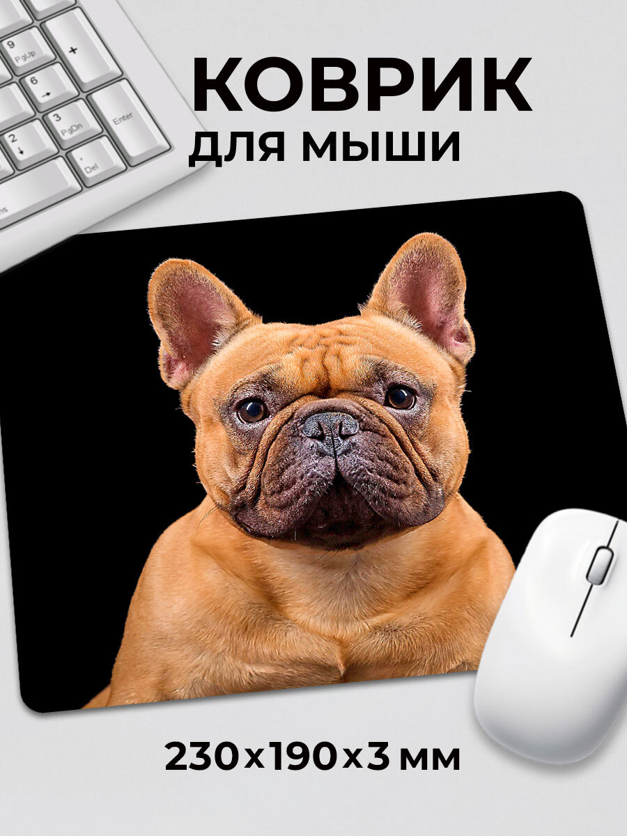 Коврик для мышки игровой Собака Французский бульдог