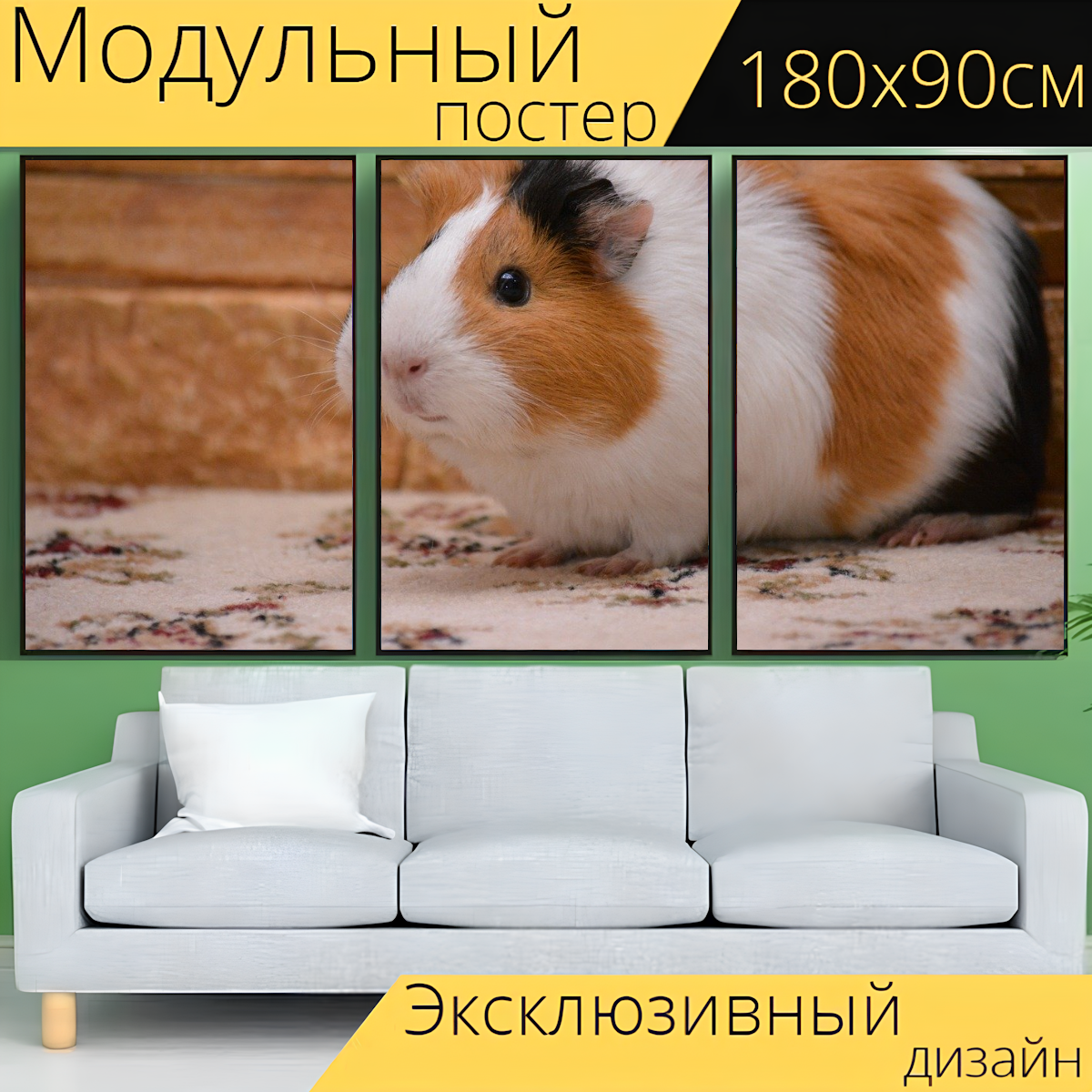 Модульный постер "Свинка, морская свинка, питомец" 180 x 90 см. для интерьера на стену в тубусе