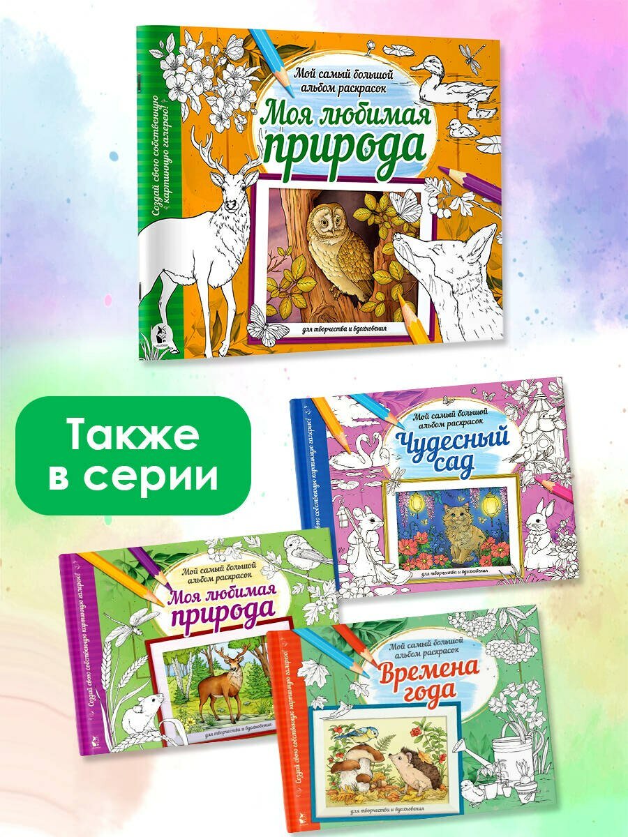 Моя любимая природа — фото 1
