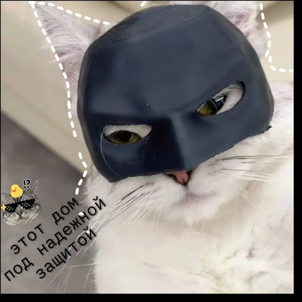 Украшение для животных