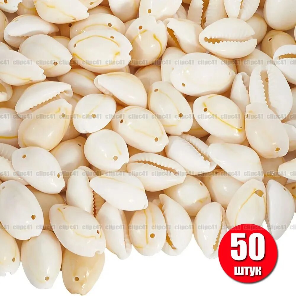 Бусины, Ракушка Каури, DIY, 50 шт.