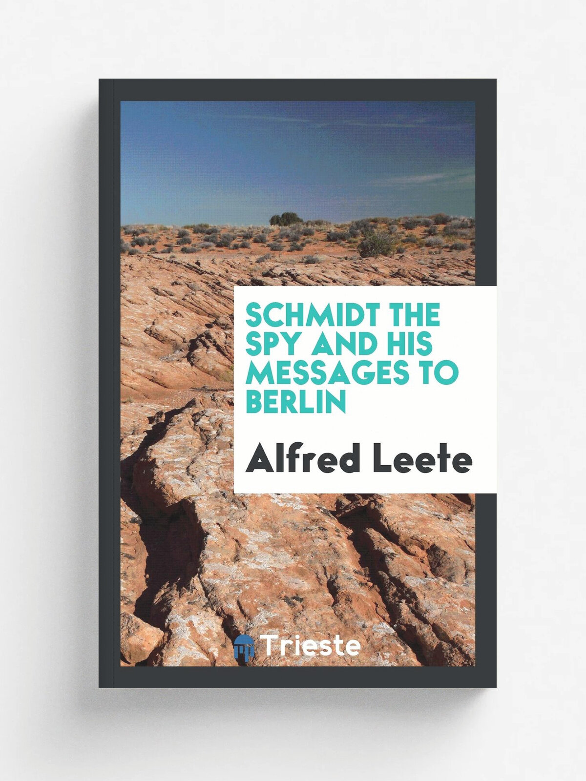 Schmidt the spy and his messages to Berlin