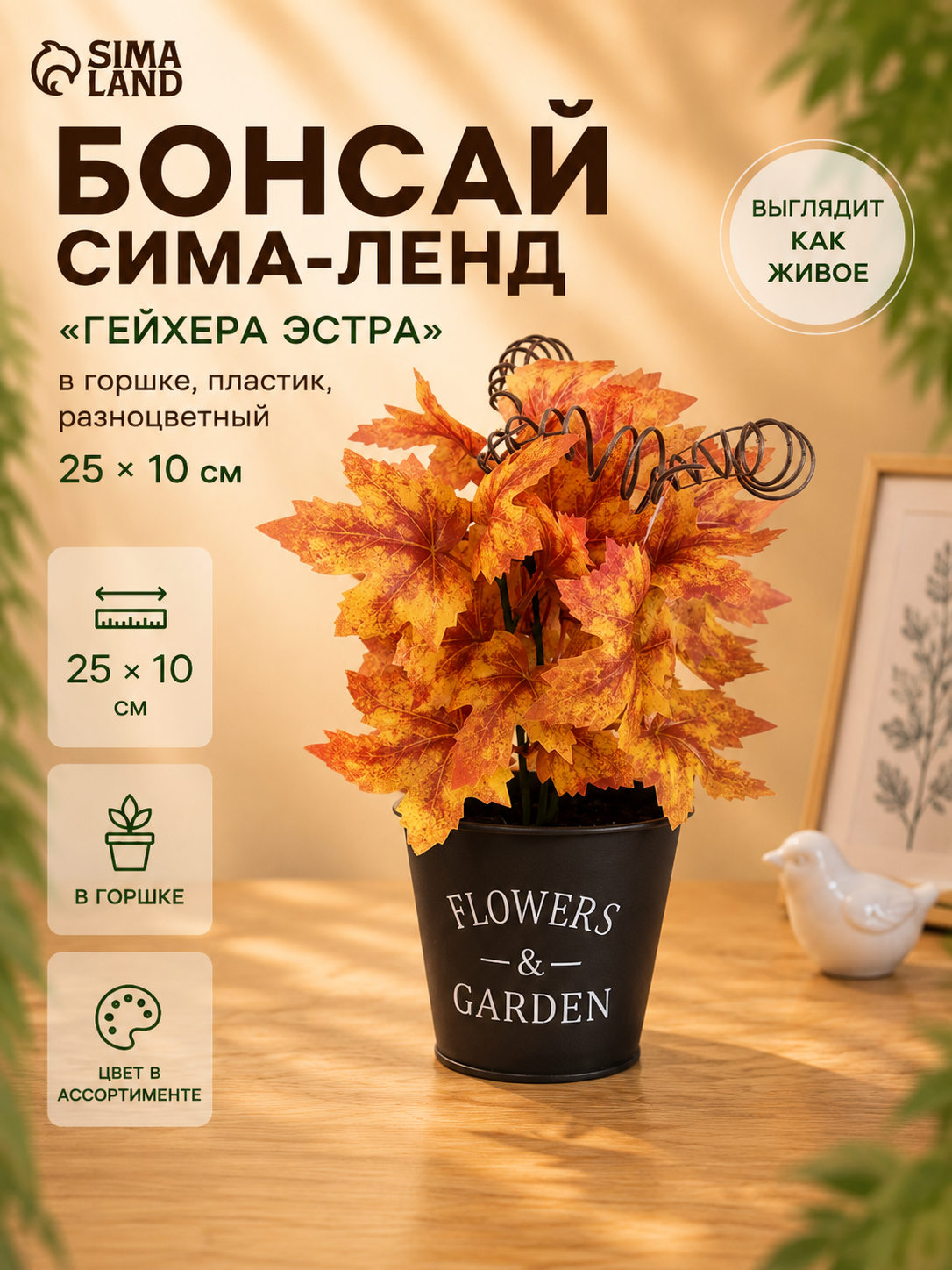 Бонсай Сима-ленд «Гейхера эстра», в горшке, разноцветный, 25х10 см