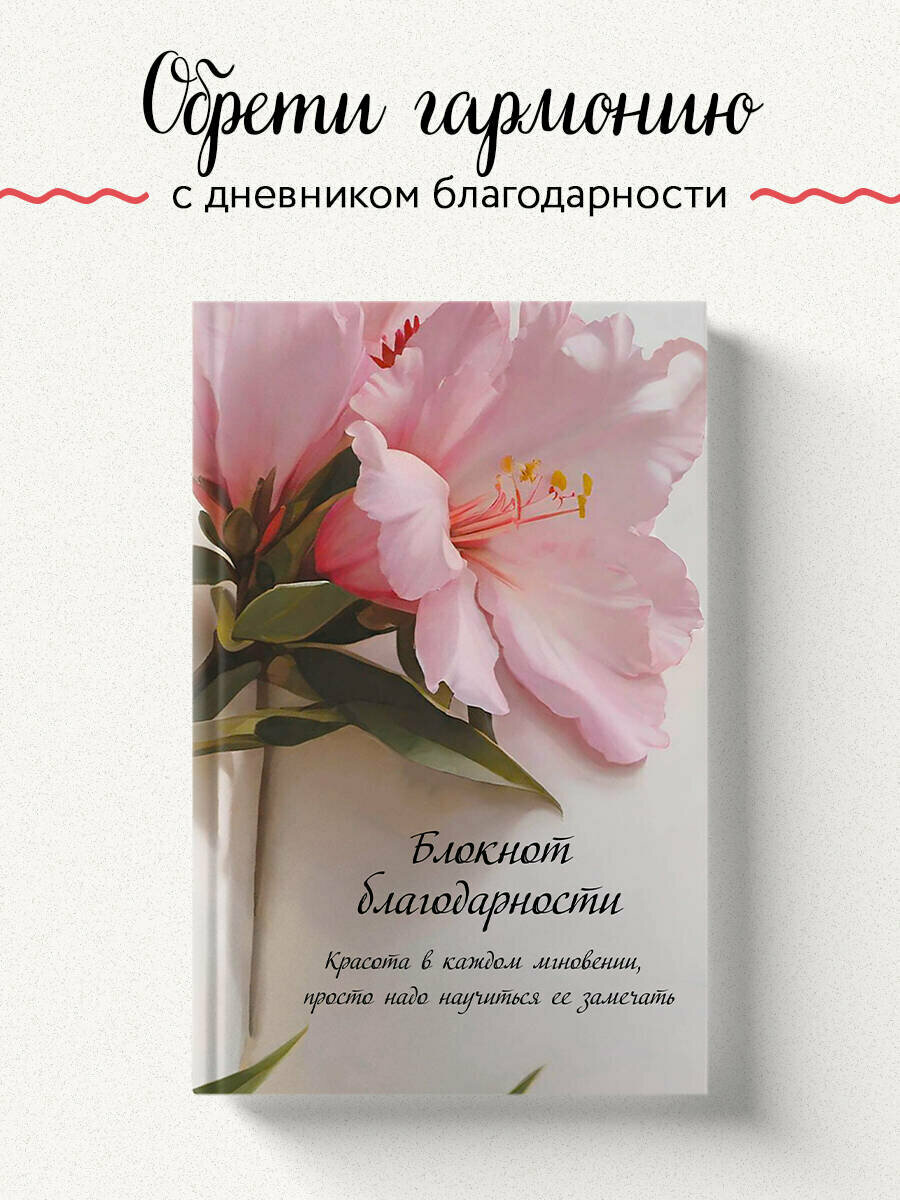 Блокнот благодарности. Красота в каждом мгновении, просто надо научиться ее замечать