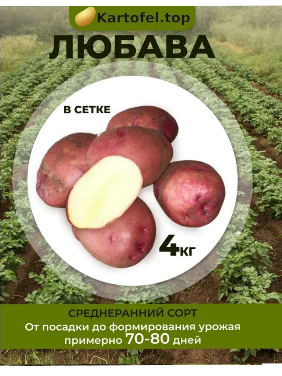 Картофель семенной Любава 4 кг