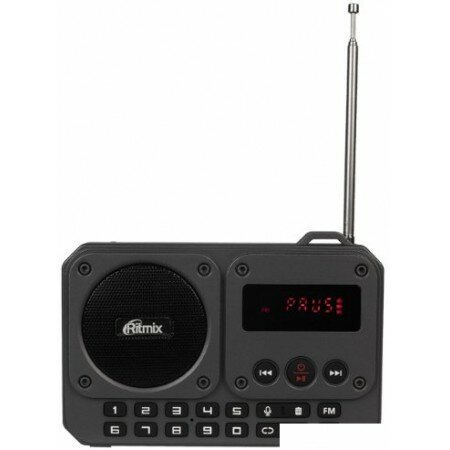 Ritmix RPR-010