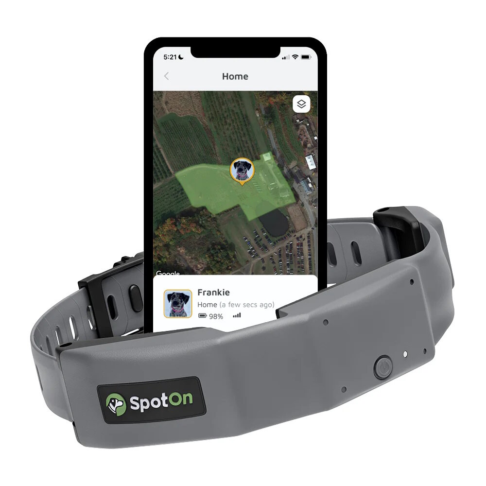 GPS ошейник для собак SpotOn GPS Dog Fence L (17" - 26")