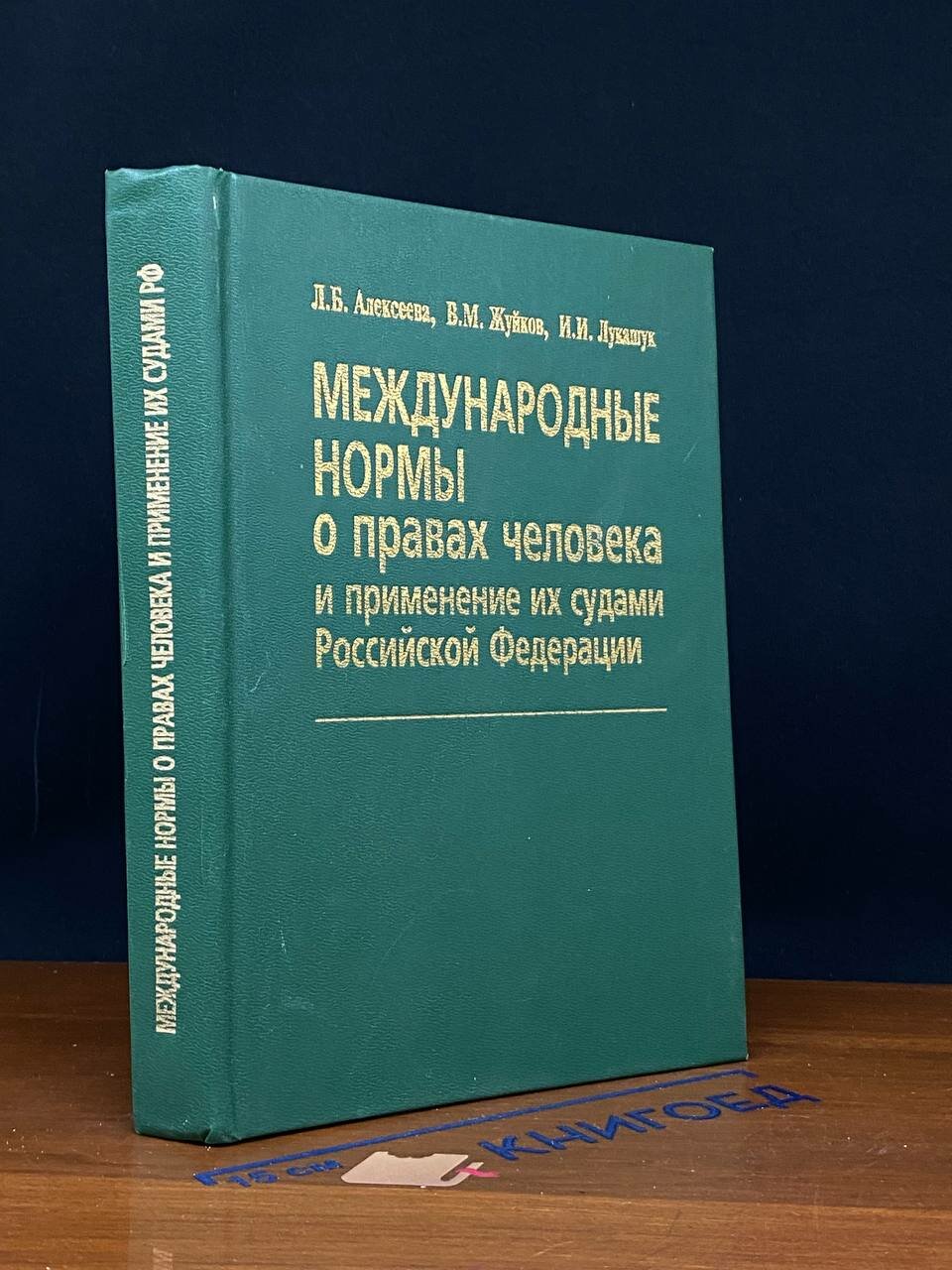 Книга. Международные нормы о правах человека 1996 (2043115813378)