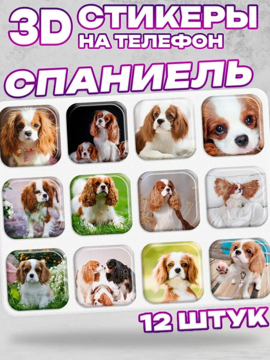 3D стикеры на телефон спаниель