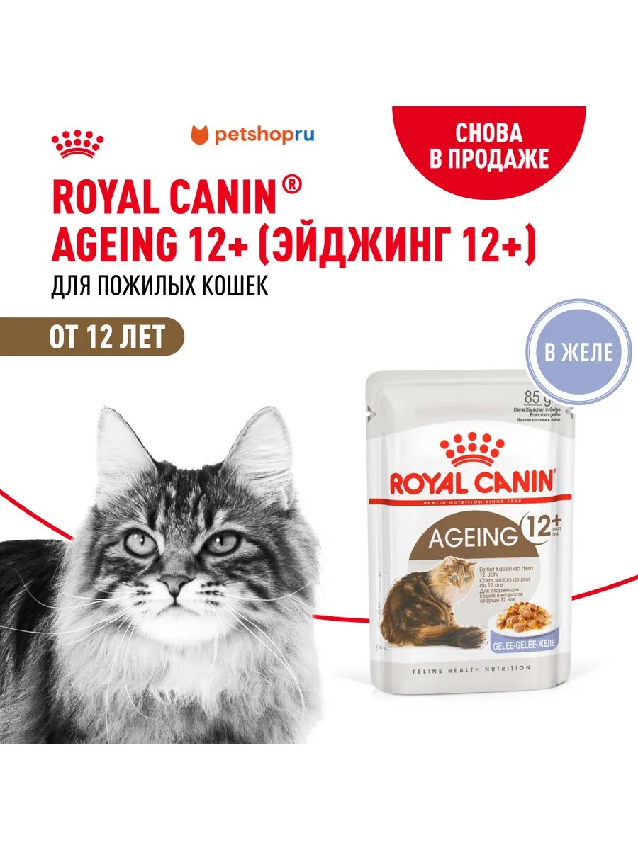 Royal canin Паучи для кошек старше 12 лет, кусочки в желе, 1 шт.