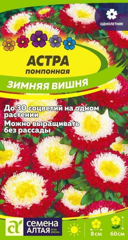 Астра Зимняя Вишня помпонная/Сем Алт/ 0,2 г