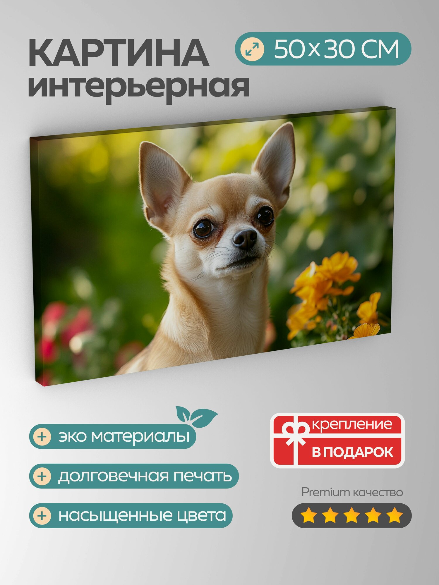 Картина на холсте интерьерная 50х30 см, чихуахуа, игривая поза, высокое разрешение, небольшая глубина резкост, зелень