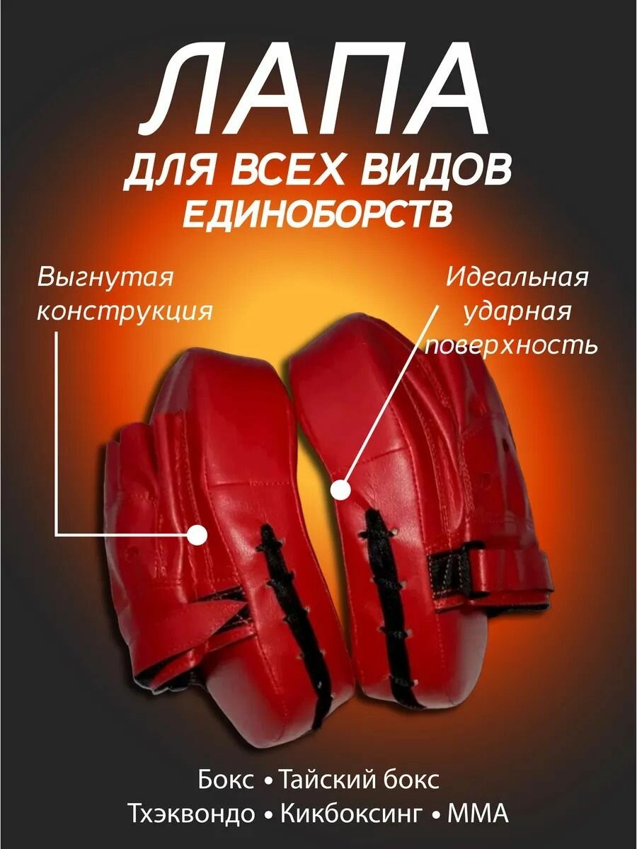 Лапы боксерские для бокса и тхэквондо 2 шт