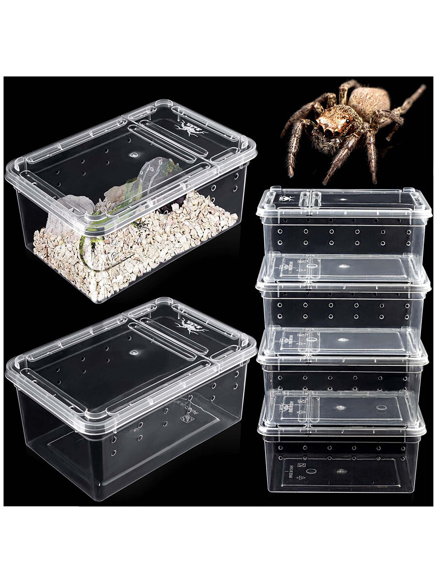 Отсадник-инкубаторКонтейнер для рептилий, ящик для разведения, ежей, скорпионов, ящериц, змей и хомяков, пп материал19*12*7.5CM