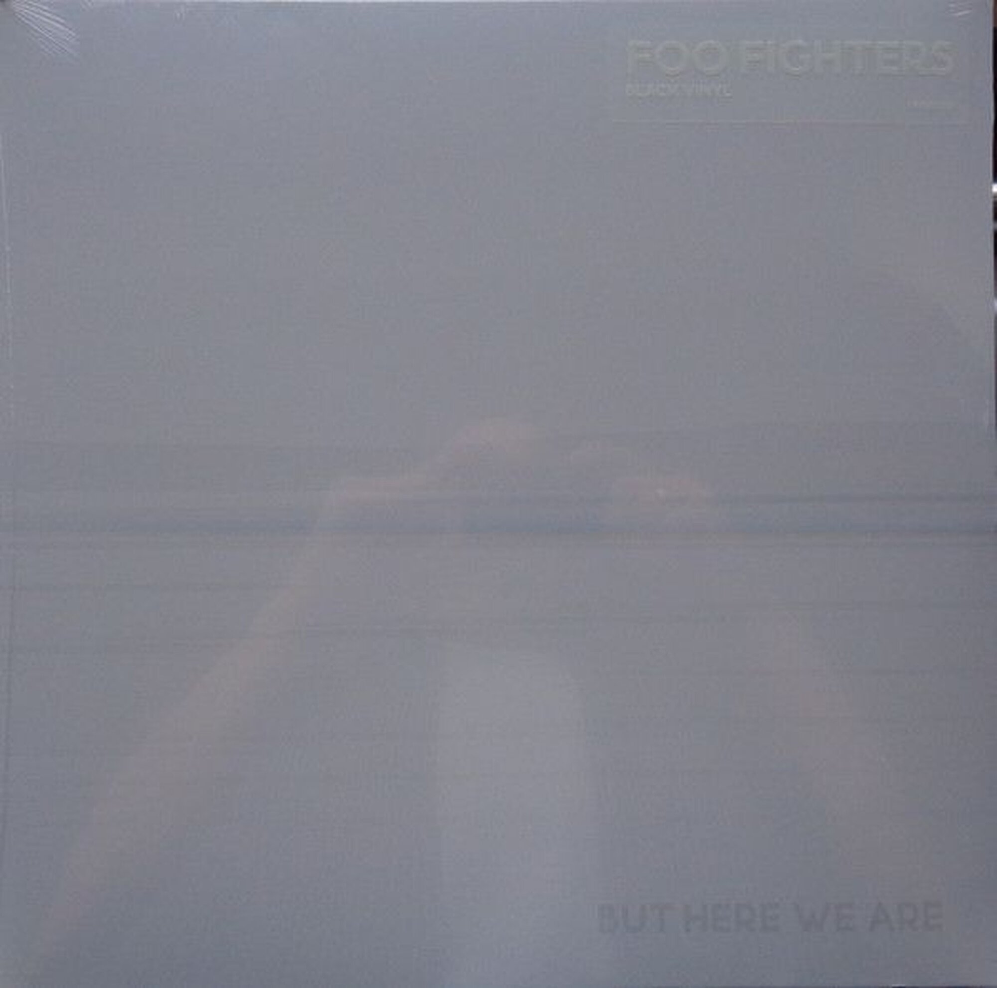 Виниловая пластинка Foo Fighters. But Here We Are (LP) 0196588178412
