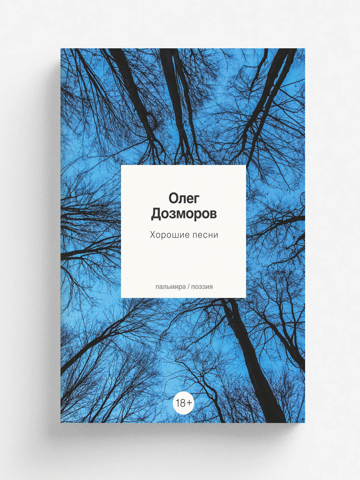 Хорошие песни. Поэзия