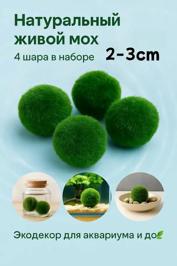 Очаровательные шарики маримо, 4 штуки