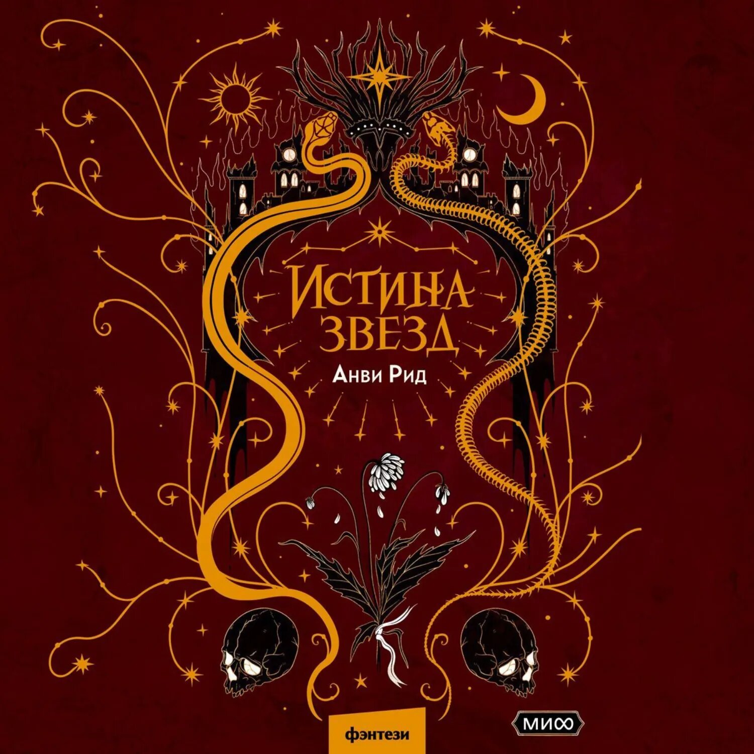 Истина звезд [Аудиокнига]