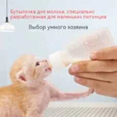 Бутылочка для вскармливания щенков и котят 60 мл, набор с 4 сменными насадками, мягкие соски для новорожденных животных