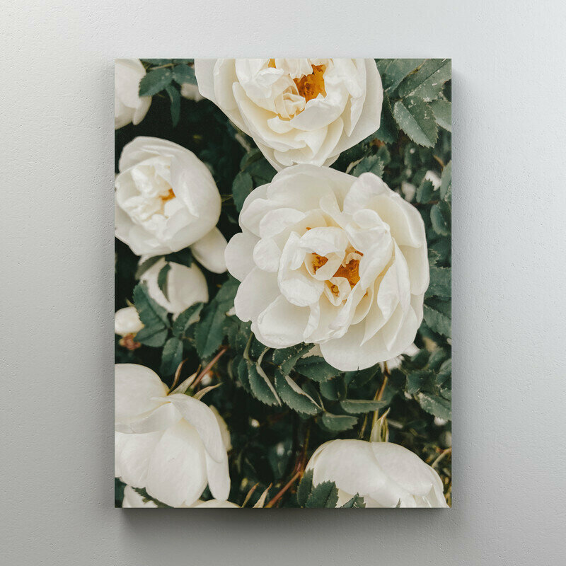 Интерьерная картина на холсте "Пышные белые розы цветут на кусте" размер 45x60 см