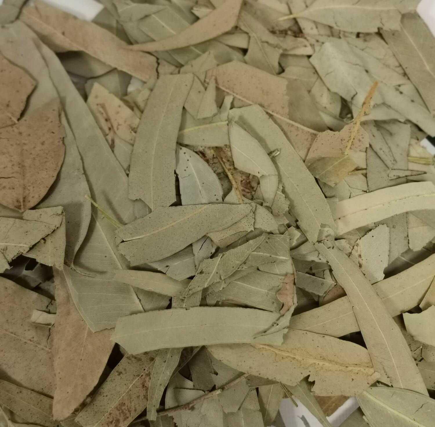 Эвкалипт лист сушеный Экстра-класс (для напитков, для настоев, для бани) 500 гр, KINGSPICE