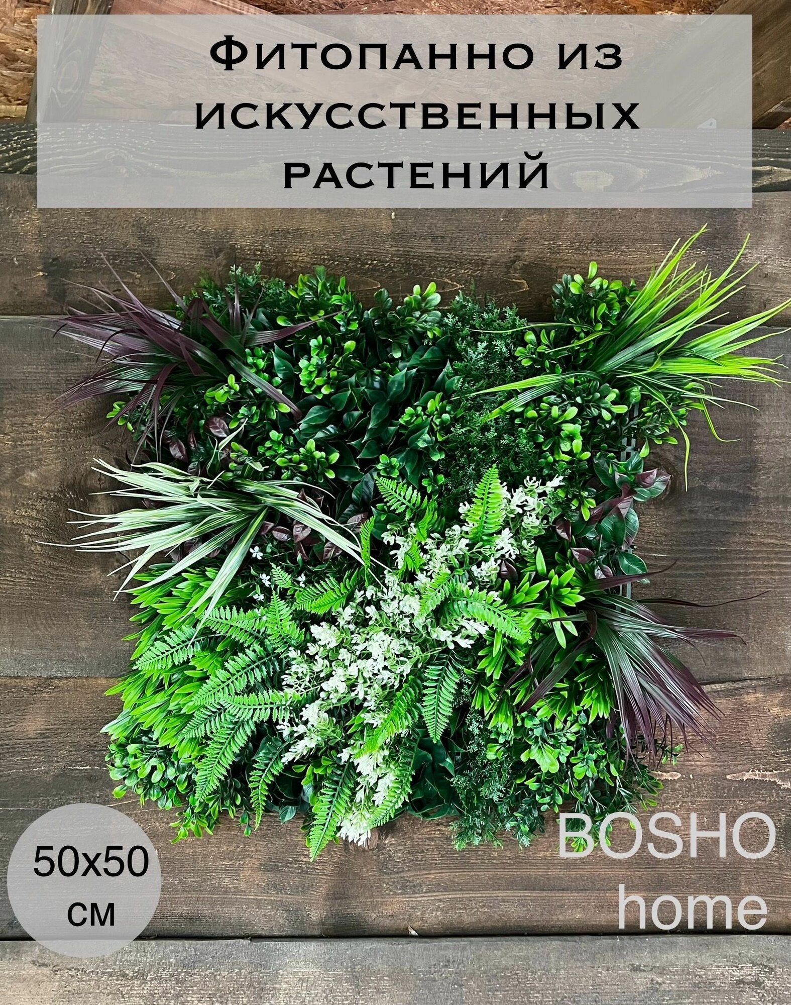 Фитостена из декоративных растений в размере 50х50 см из серии Premium Collection