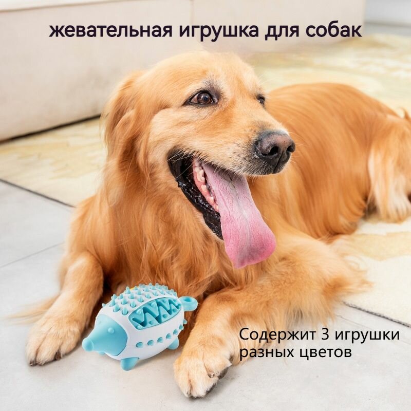 Игрушки для собак/жевательная игрушка для собак/Содержит 3