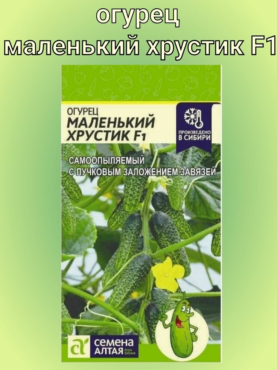 Семена Огурец Маленький Хрустик F1.