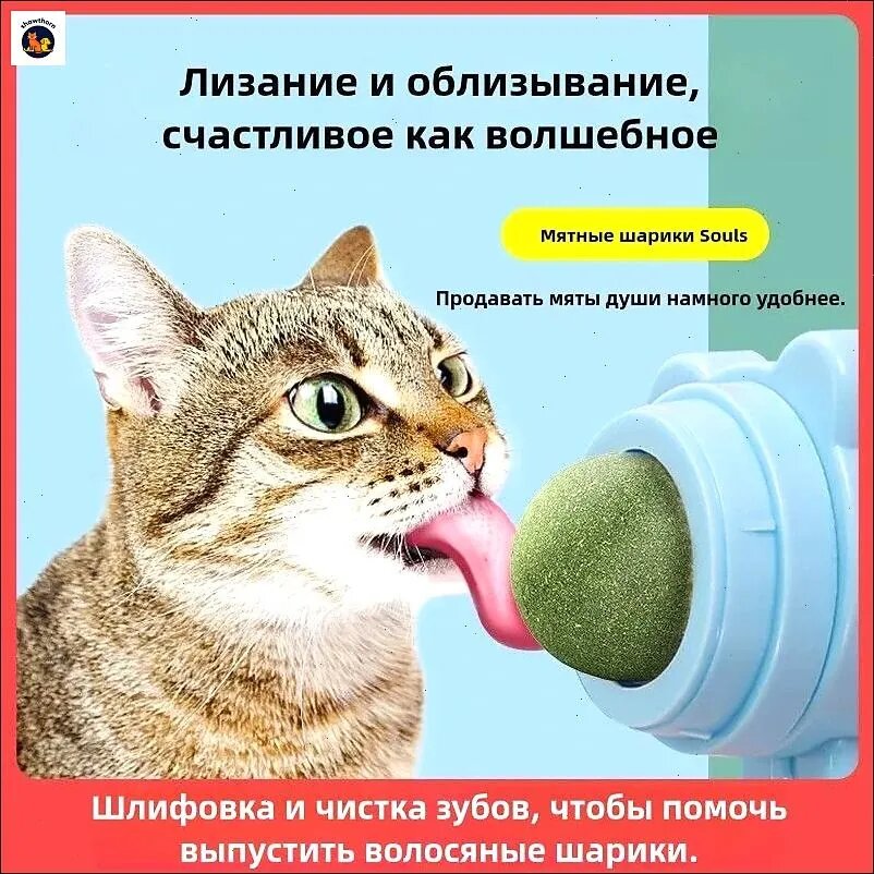 Игрушки для кошек, кошачья мята, леденец для кошек, шарик на стену