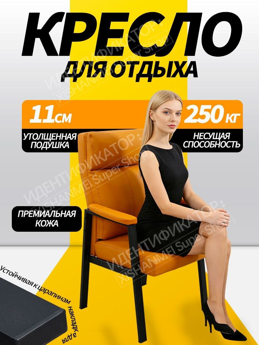 Кресло для отдыха, устойчивое к царапинам, прочная металлическая рама, мягкая спинка, для гостиной