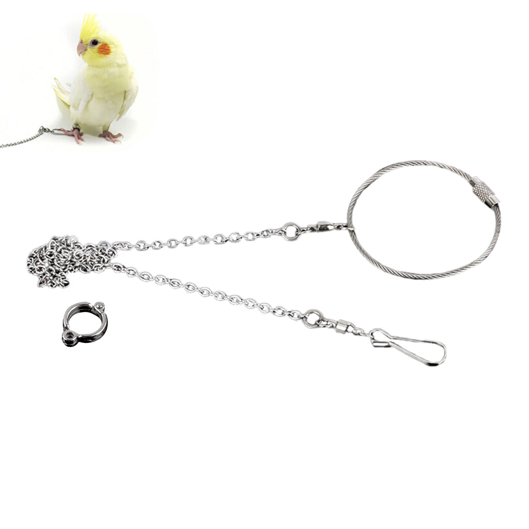 Кольца и цепи для лап попугаев из нержавеющей стали, серебристый цвет, размеры колец 4, 5, 6, 7, 8, 9, 10, 12, размеры цепей A#, B#, C#, D#, для тренировки полета на открытом воздухе, аксессуары для птиц, комплект из 1 цепи и 1 кольца