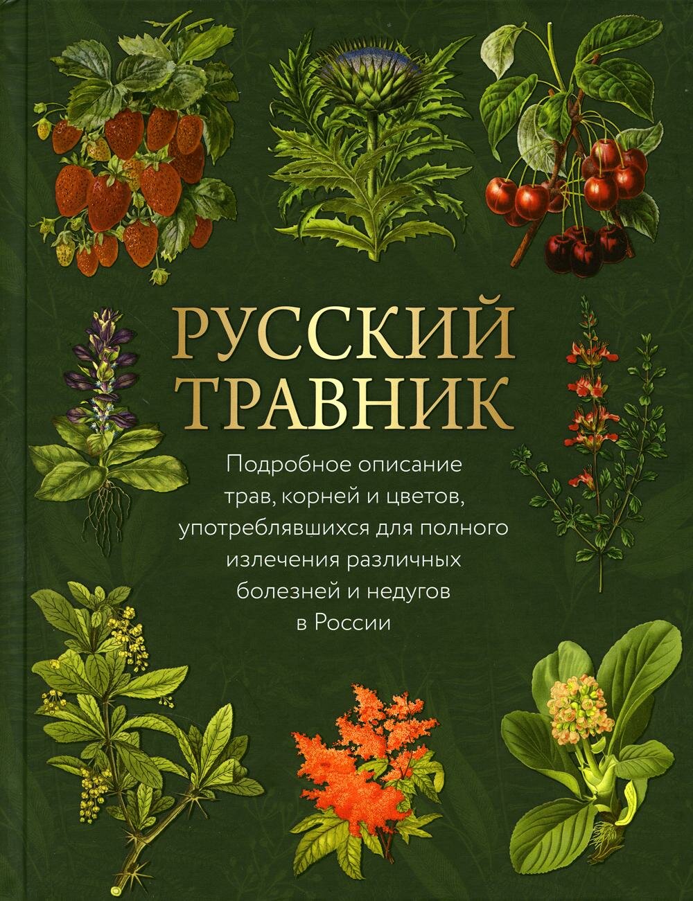 Русский травник. Подробное описание трав, корней и цветов, употреблявшихся для полного излечения различных болезней и недугов в России. Сост. Кузьмин В. В. Просвещение-Союз