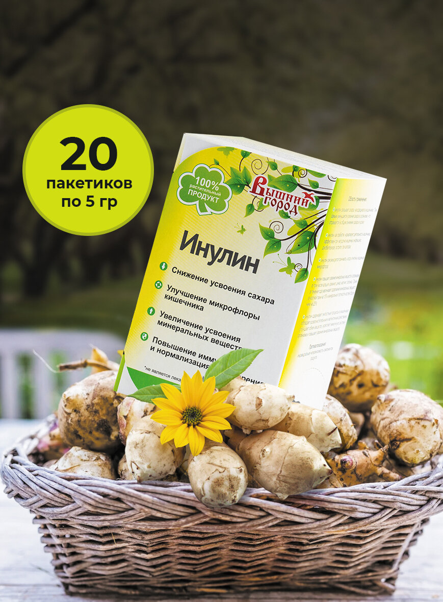 Инулин пищевой, натуральный пребиотик для ЖКТ, 20 пакетиков по 5 г (6 коробок)
