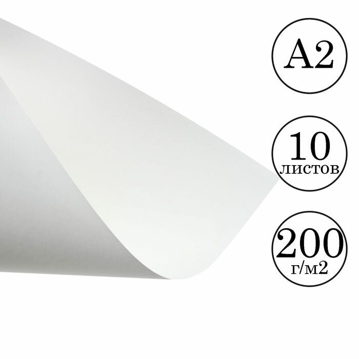Бумага для черчения Лилия Холдинг А2, Calligrata, 10 л, 420х594 мм, без рамки, блок 200 г/м2, свернут в рулон