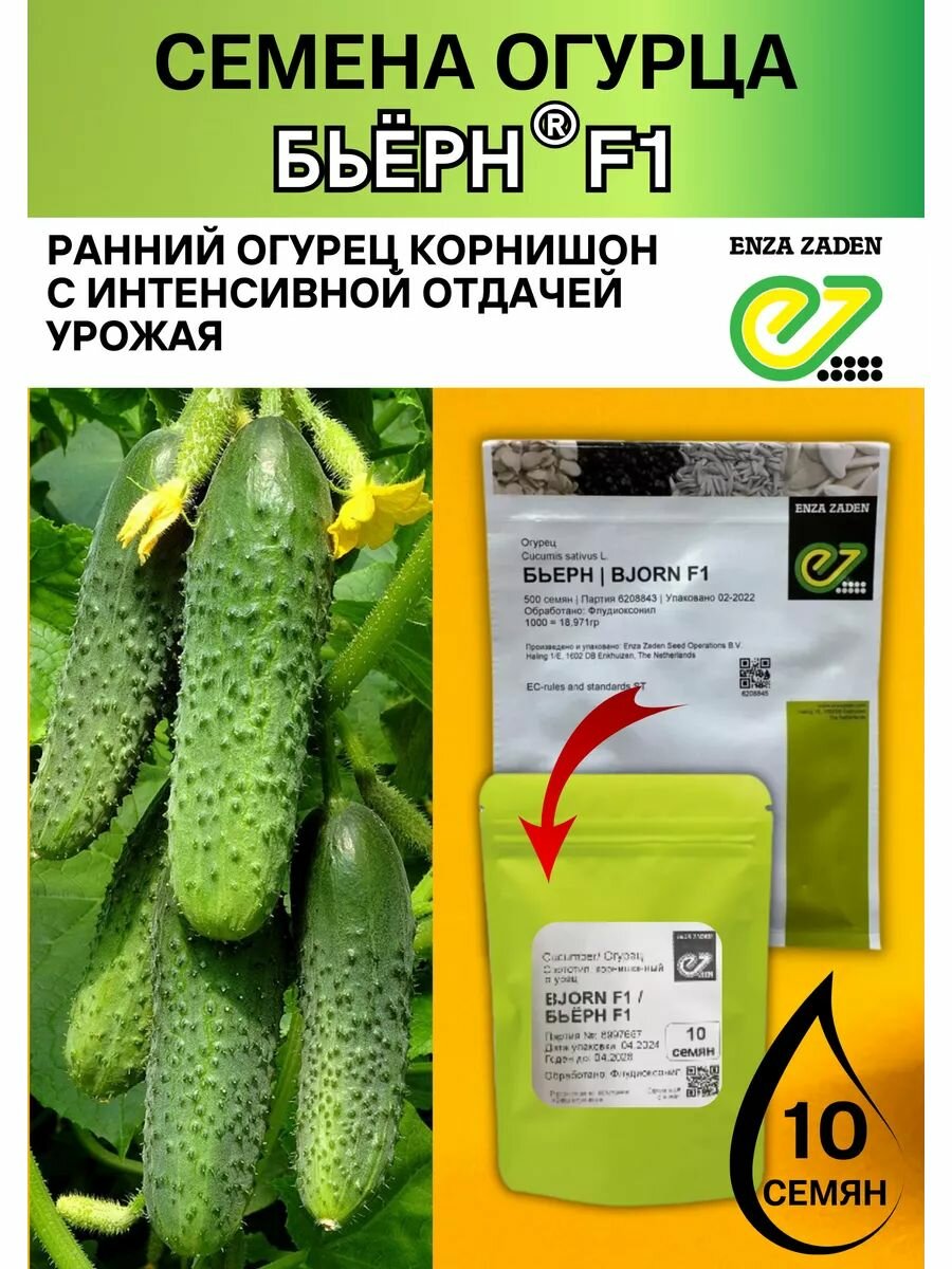 Огурец Бьерн F1 10 семян ENZA ZADEN, профессиональные семена
