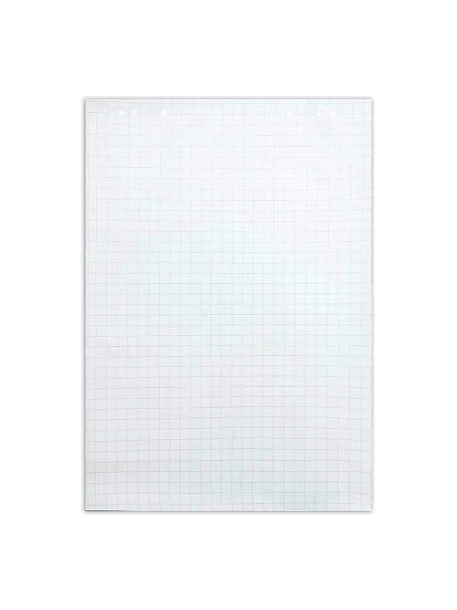 Большой блокнот для флипчарта с клеткой