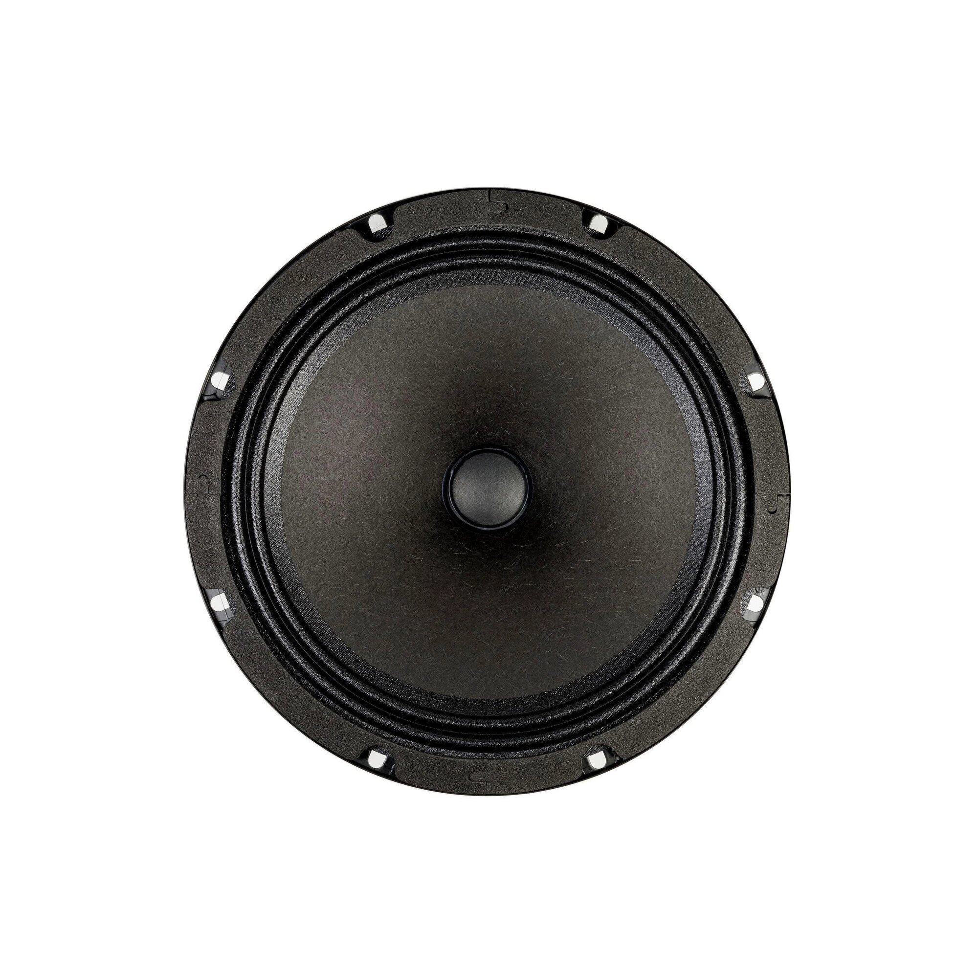 Автомобильная акустика Prology SPL 200 KRAKEN