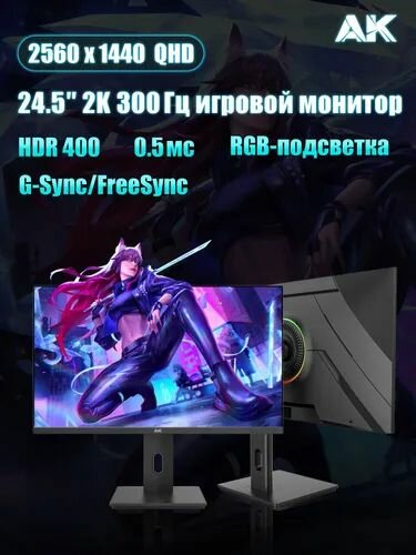 24.5" Монитор 2K 300Гц Fast IPS 2560x1440 компьютерный игровой монитор, черный