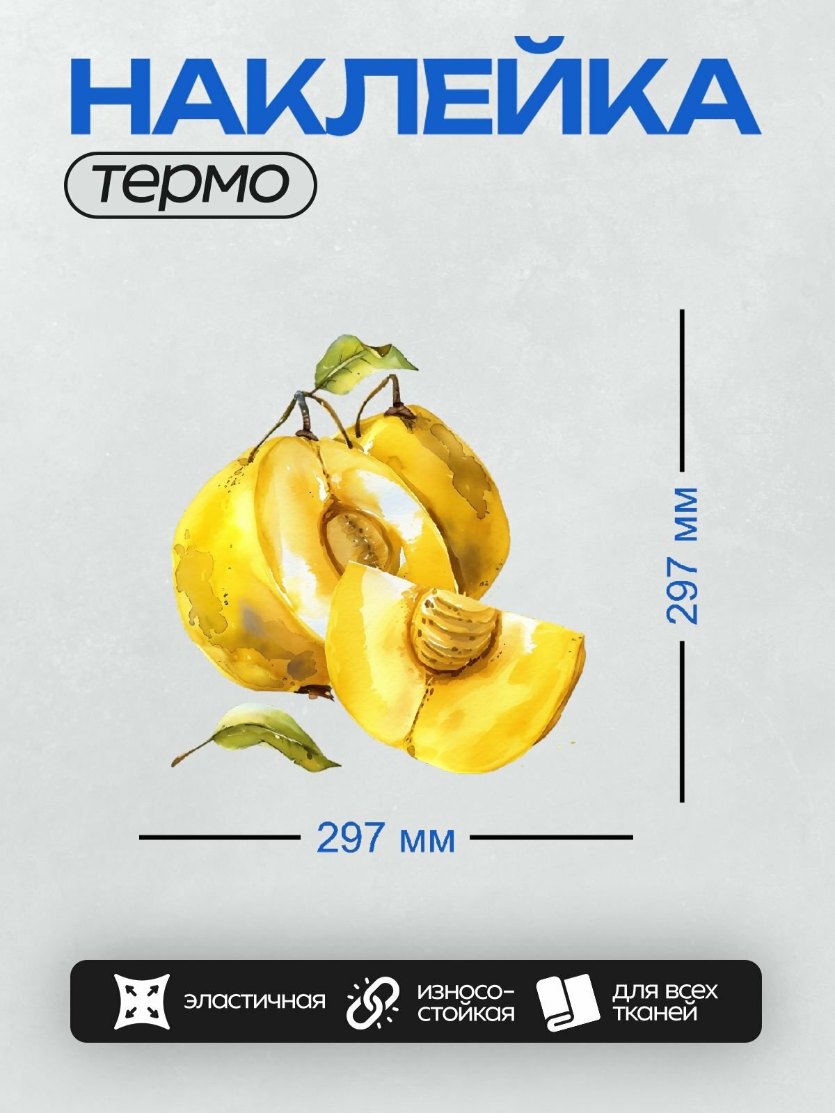 Термонаклейка PrintyFull на одежду DTF / Яркие фрукты киви апельсин