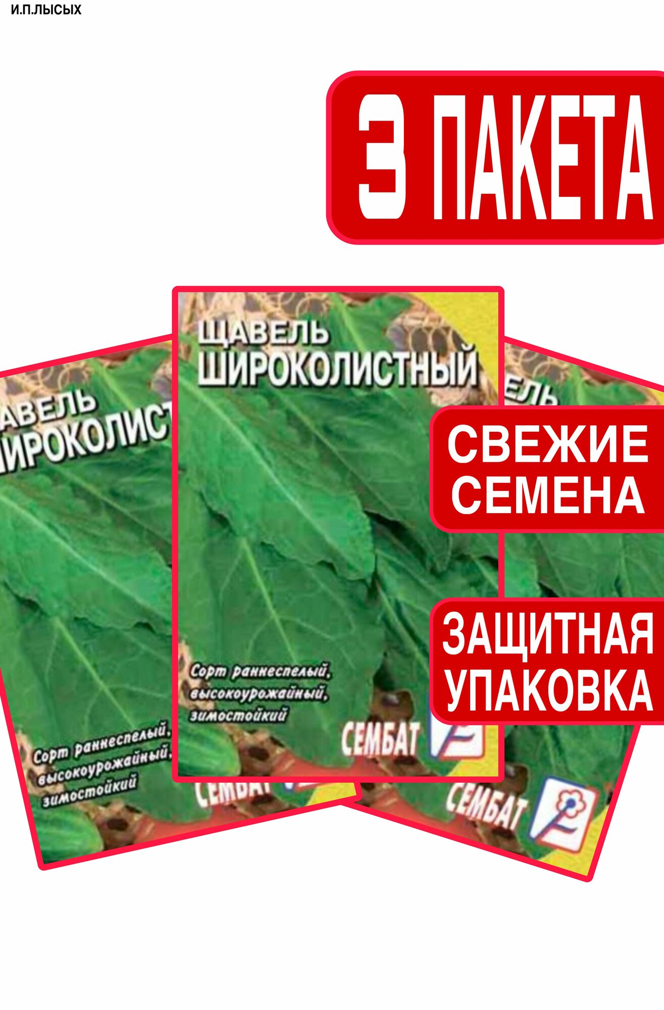 Семена Щавель "Широколистный"