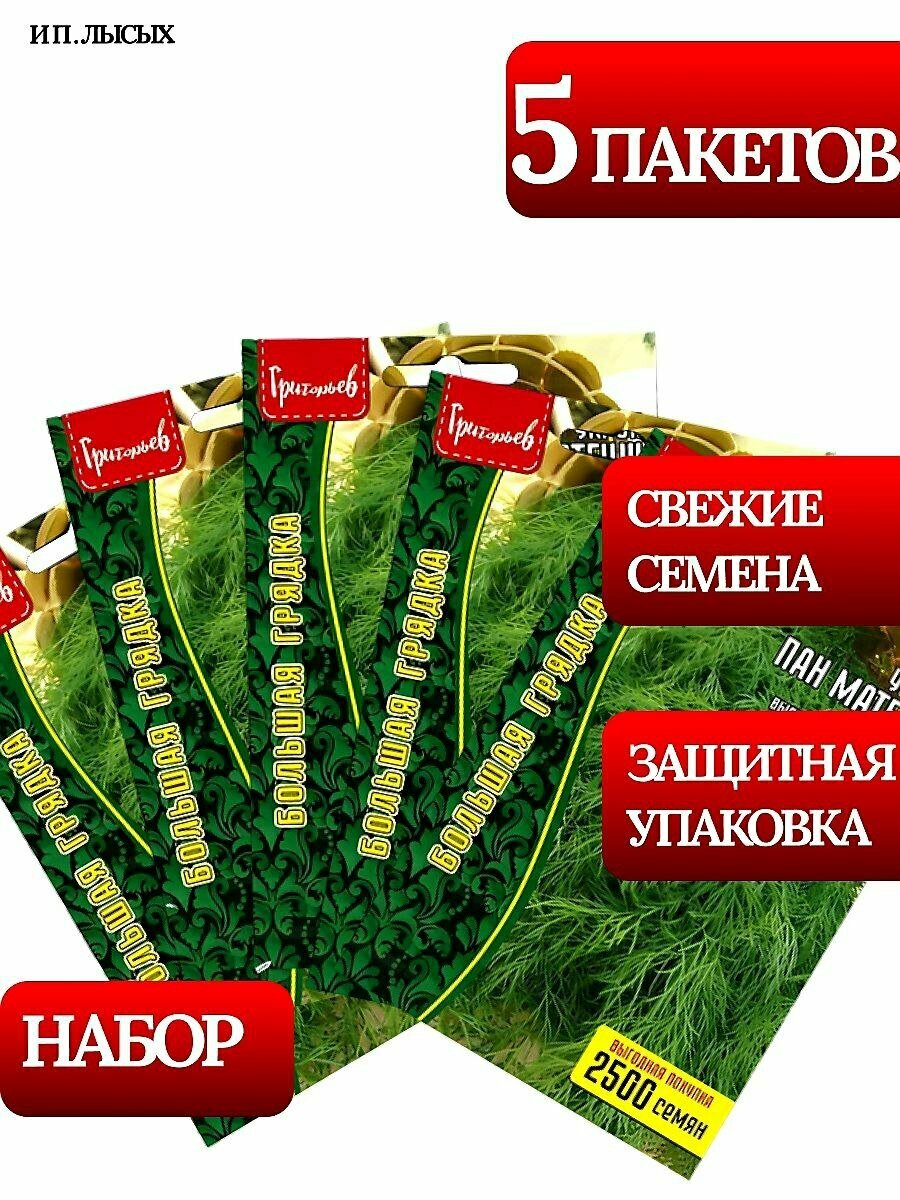 Семена Укроп "Пан Матеуш"