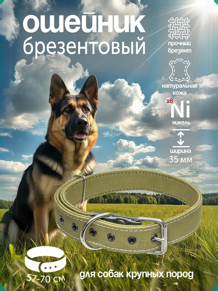 Ошейник для собак брезентовый ZooMoDa