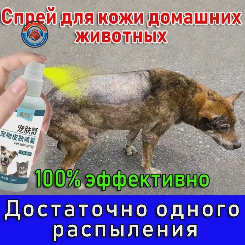 Спрей-шампунь для кожи собак и кошек — натуральное успокаивающее средство от зуда и покраснений с лёгким ароматом