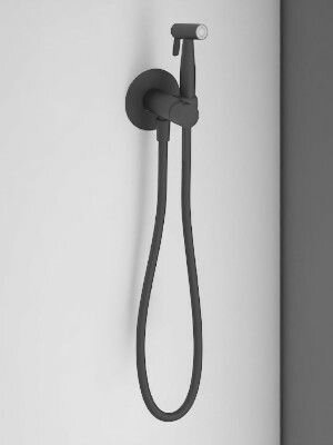 Смеситель встроенный с гигиеническим душем VIEIR V462551-C