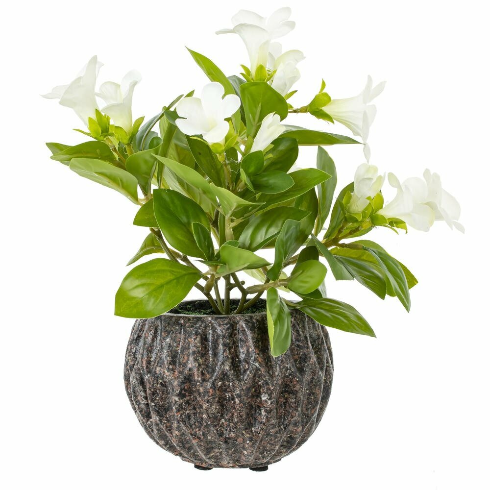 Цветочная композиция "Примула", L17 W17 H24 см