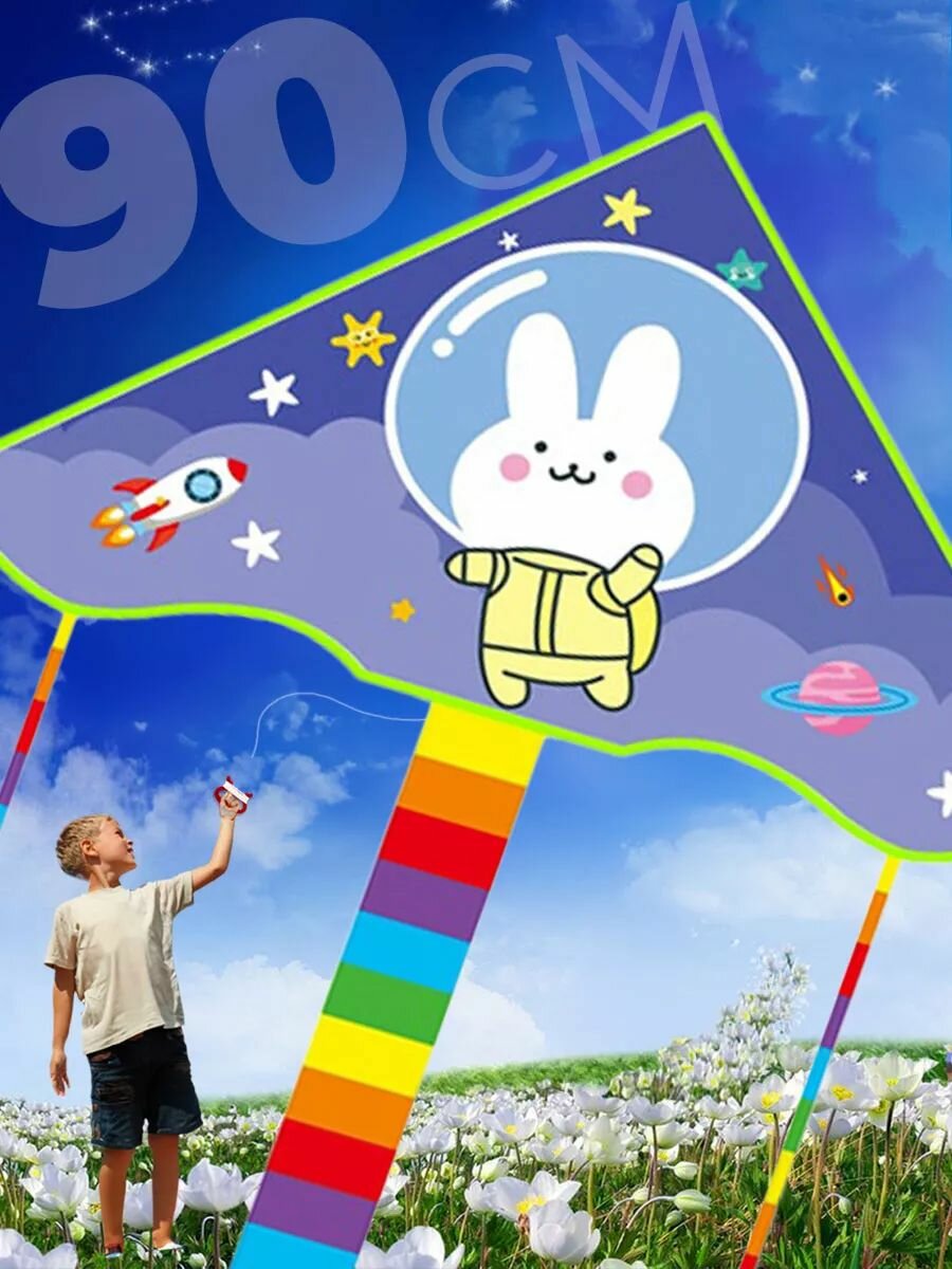 Воздушный змей большой Космозайка