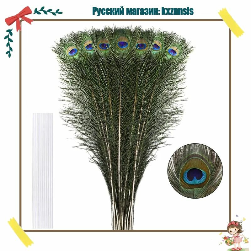 Павлинье перо 50 см, набор 10 шт с удлинительным стержнем 25 см натуральные декоративные перья для ваз, интерьера, праздничного оформления и витрин
